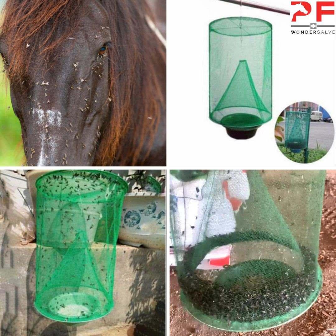 PF Wonder Fly Trap – PF Wonder Salve